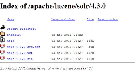 Explorations Setting Up Solr With Sitecore 7