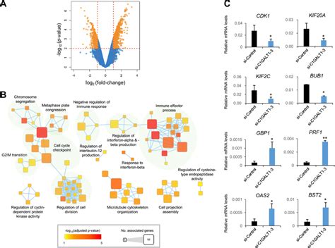 Cdna Microarray Analysis A Volcano Plot Analysis Of Microarray Showing
