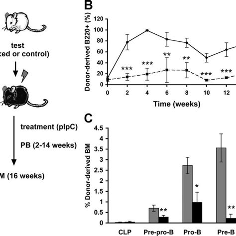 Cbf Smmhc Repression Of Early B Cell Program Is Cell Autonomous A Download Scientific