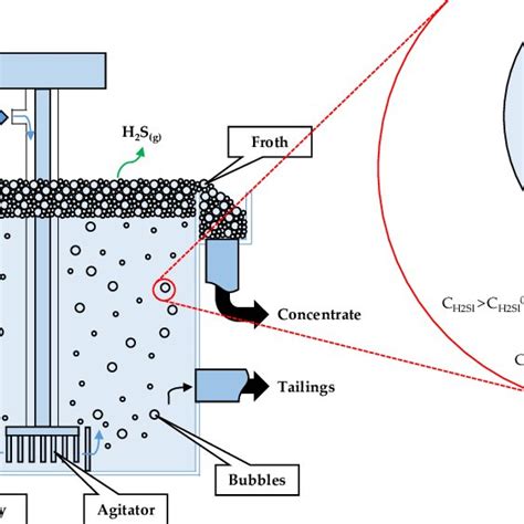 Pdf Modelling H2s Gas Generation In Copper Molybdenum Flotation Cells