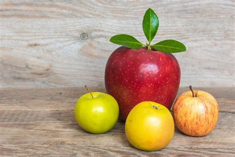 Incremental Growth Vs Exponential Growth Which Strategy