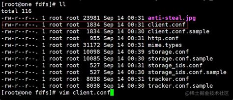 linux环境下fastdfs部署 linux部署fastdfs csdn博客