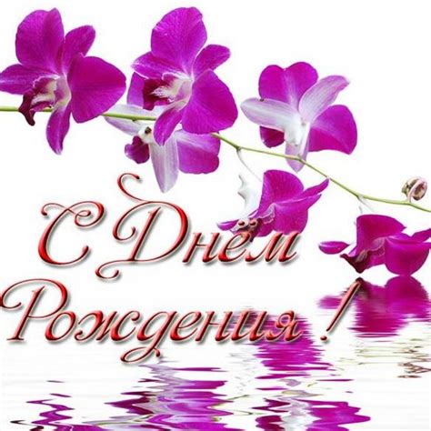 С днем рождения картинки женщине картинки с орхидеями