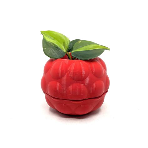 Raspberry Pi Planter By Anthony Huczek At Raspberry Pi Planter By Anthony Huczek At