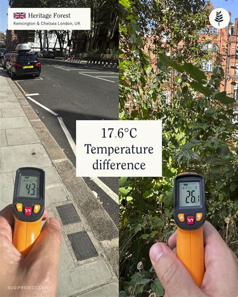 Elise Van Middelem On Linkedin Rewilding