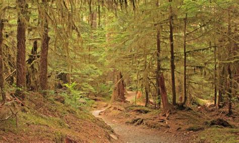 Sol Duc Area Trails In Olympic National Park Alltrips