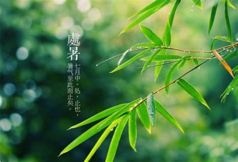 处暑是什么意思种什么植物 百度经验