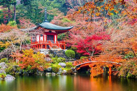 Partir En Voyage Au Japon Circuits Organisés Entre Tradition Et Modernité