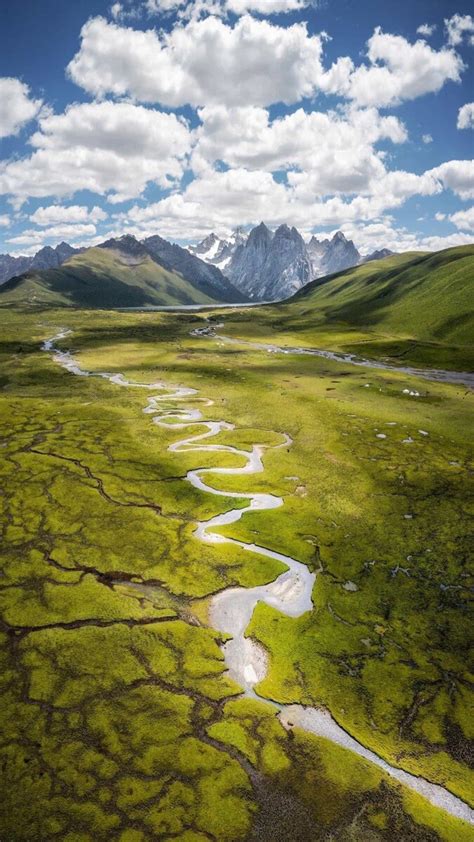 小白条的个人博客