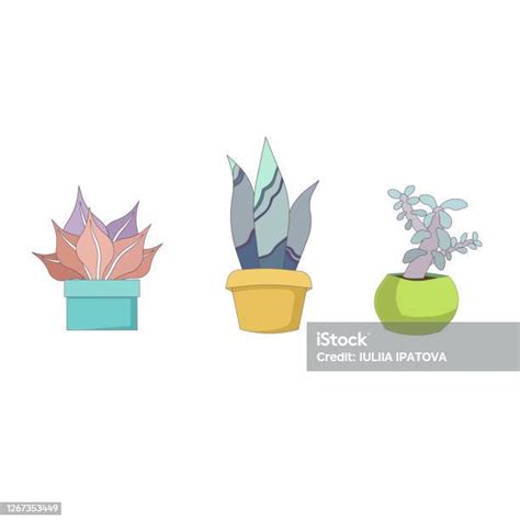 흰색 고립 된 배경에 추상적 인 실내 식물 크로톤 산세비에리아와 크라술라의 세트 만화 디자인 스타일의 벡터 스톡 일러스트레이션 창 원예 자연과 집 식물의 개념 0명에 대한