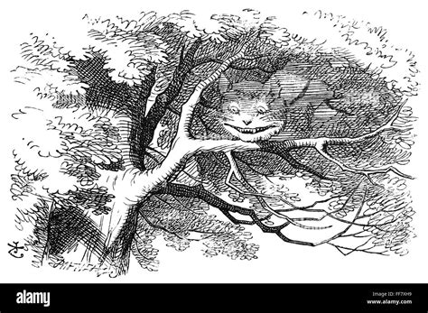 Alice In Wonderland 1865 Nthe Cheshire Cat Illustration By John