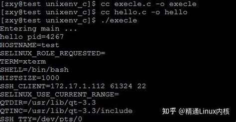 linux系统编程之进程：exec系列函数使用 知乎