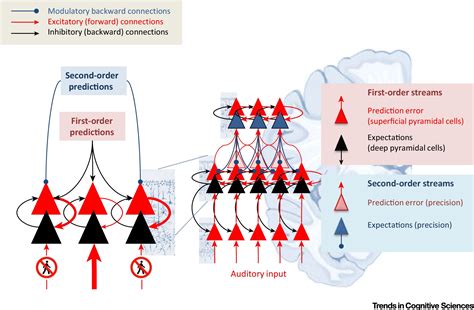 Predictive Processes And The Peculiar Case Of Music Trends In
