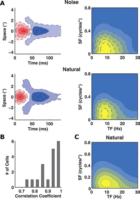 The Spatiotemporal Frequency Tuning Of Lgn Receptive Field Facilitates