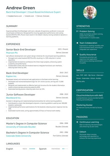 Web Developer Resume Examples Guide For