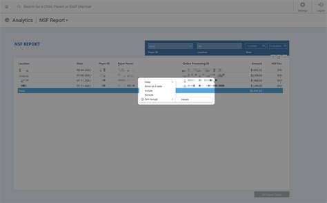 power bi nsf report