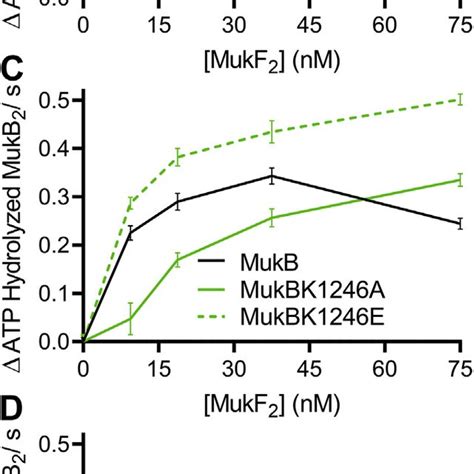 The Mukb Variants K1246a And K1246e Respond Differently To Stimulation Download Scientific