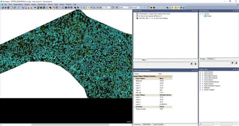 Create Coconut Palm Trees Segmentation Using Method Object Based Images Analysis Obia By