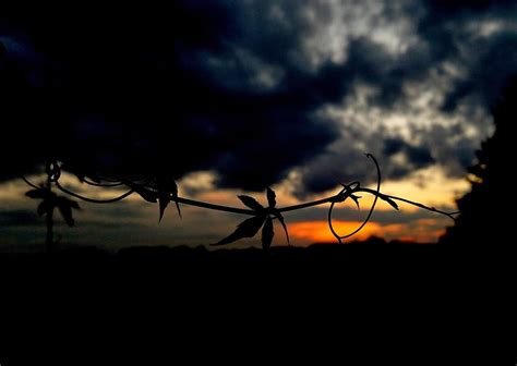 Devon Marie Photography Added A Devon Marie Photography