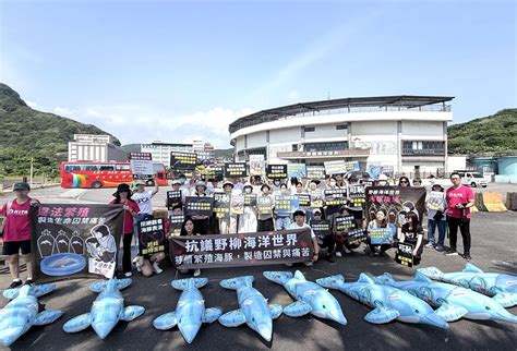 遭控違法繁殖海豚 野柳海洋世界澄清：園方朝教育轉型