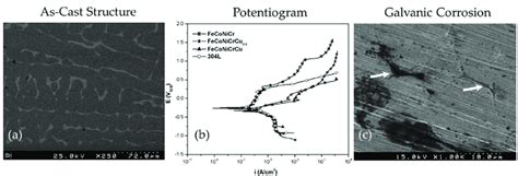 A As Cast Microstructure Of Cocrfeni Cu Alloy Showing Dendritic Download Scientific Diagram