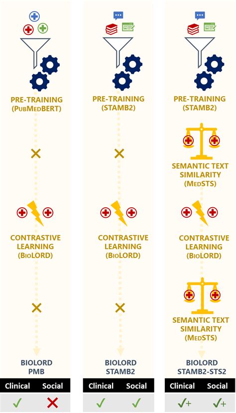 Schema Of The Pre Training And Fine Tuning Steps Of The Four Candidate