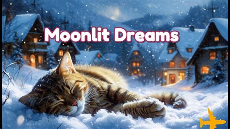 Moonlit Dreams 4 Hours Relaxing Sleep Music Youtube