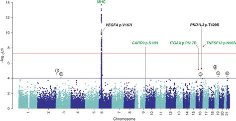 Genome Wide Association Analysis Of Protein Coding Variants