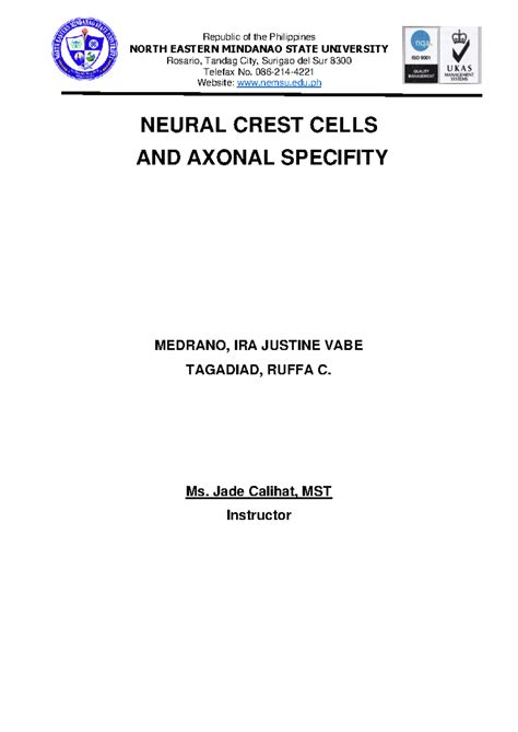 Detailed Report Final North Eastern Mindanao State University