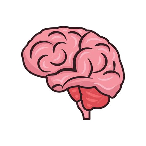 El Clip Art Del Cerebro Es Fácil Vector Premium