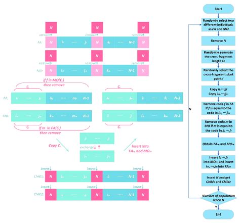 The Schematics And The Flowchart Of The Crossover Operator Download Scientific Diagram
