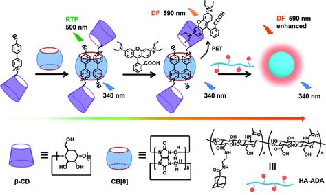 Construction Of The Supramolecular Assembly For A Purely Organic