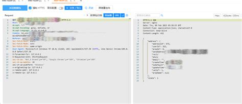 信息遍历 泄露 Yak Program Language
