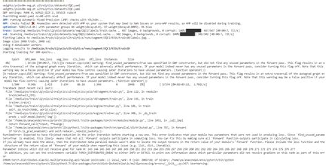 Cannot Use Ddp To Train The Segmentation Model · Issue 1457
