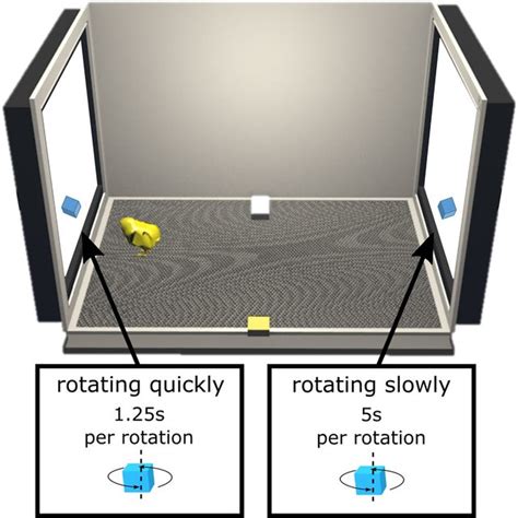 Schematic Representation Of The Apparatus And Stimuli Used In The First Download Scientific