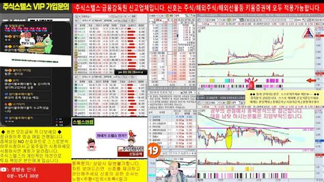 하락장 상승장 어떤시장에도 유연성있게 대처하는 방법을 배우고 싶다면 무료주식방송 주식스텔스 주식단테 사단 생방송 Youtube