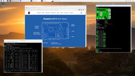 Raspberry Pi 4 Mit Raspbian Buster