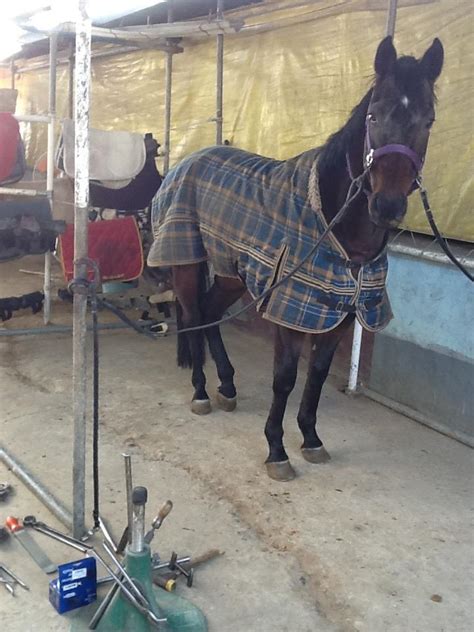 Sookang 경산에서 일하고 마치면 기장 갑니다 코와 발가락이 좀 많이 시리네요 건강 챙기시고 한국에 있는 친지들