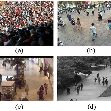 Samples From Different Datasets Panel A Is From Shanghaitech Part A