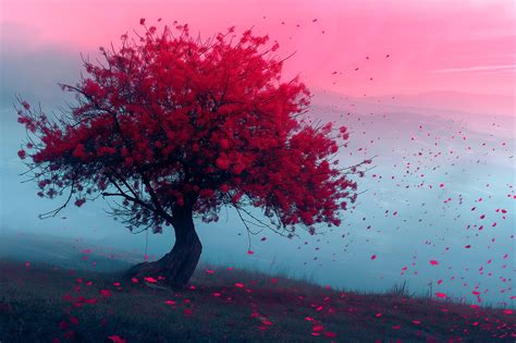 download ai generated tree sunset royalty free stock illustration
