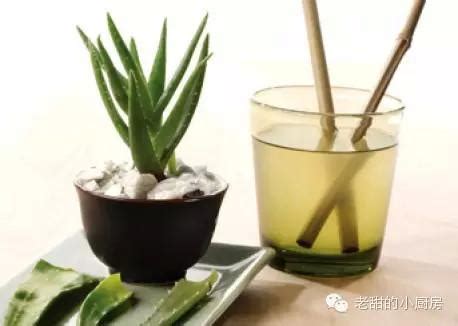 Diy蘆薈飲品終極指南 十款讓你驚艷的蘆薈飲料 每日頭條