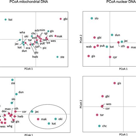 A Principal Coordinates Analysis Pcoa Plot Based On Pairwise Coi Φst