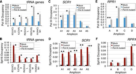 Transcription Dependent Enrichment Of The Yeast Fact Complex Influences Nucleosome Dynamics On