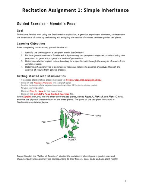 1mendels Peas Guided Exercise 3 Pdf