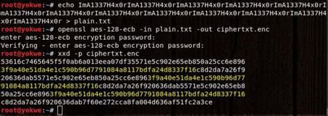 Bit Flipping Attacks Against Cipher Block Chaining Algorithms Zsecurity