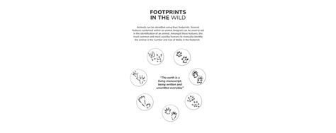 narrative information visualisation on behance