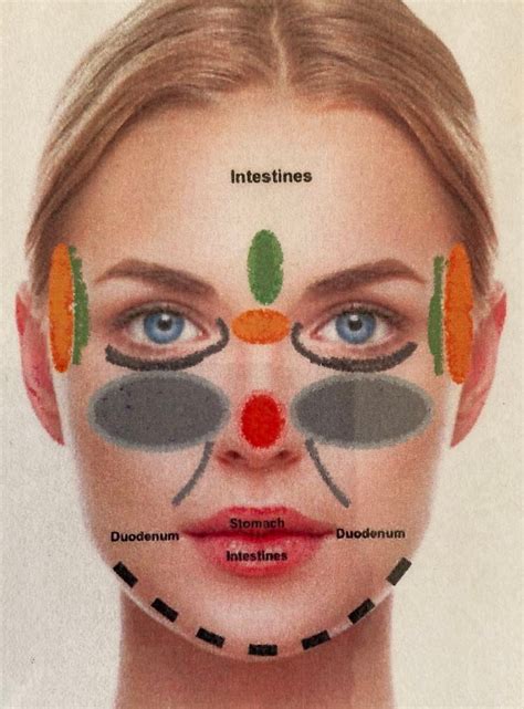 Face Reflexology Map
