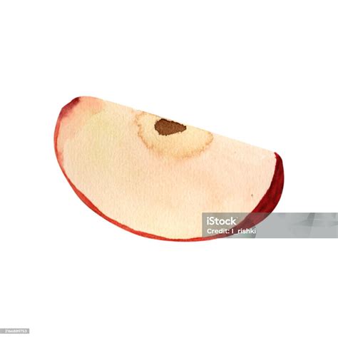 빨간 사과의 육즙이 많은 조각 수채화 사실적인 식물 일러스트 인쇄물 초대장 가을 휴일 추수 감사절 추수 감사절 농부 시장 부엌 메뉴 전용 카드 10월에 대한 스톡 벡터 아트
