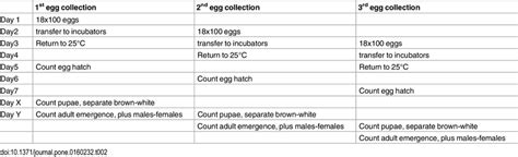 Summary Of The Protocol Used For The Tsl Screening And Quality Control Download Table