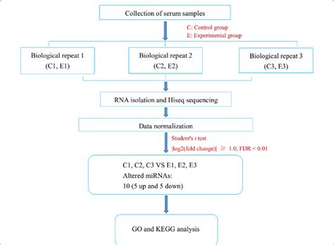 Workflow Of The Identification Of Differentially Expressed Mirnas In